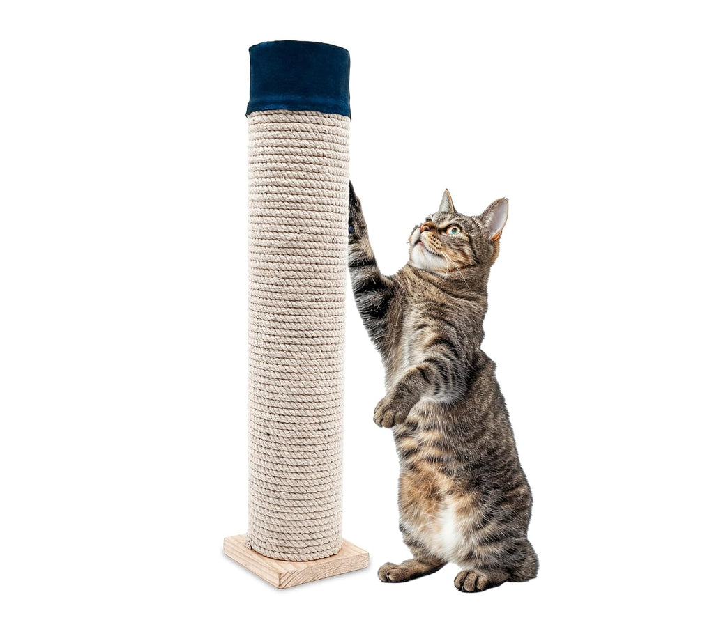 Luxury Cat Scratching Pole - Medium (47cm) – Wagging Tails